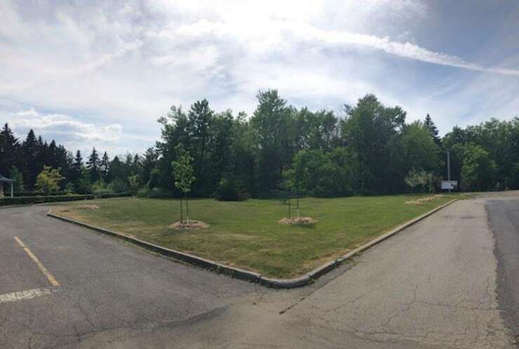 Info-travaux - revitalisation-parc-ruisseau-bernard ⋆ Ville de ...