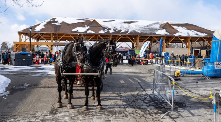 Une foule d’activités gratuites pour la 27e édition de Plaisirs d’hiver ...